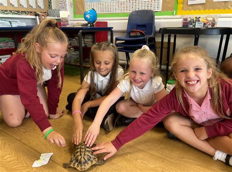 Year 3 Summer B St Julians Primary School