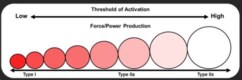 Neta Module 5 Ch 18 19 Flashcards Quizlet