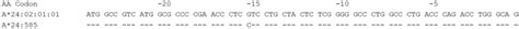 Alignment Of The Sequence Of Exon 1 Of Hla‐a24585 With The Sequence