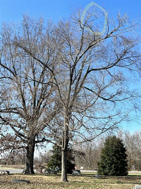 Cant Climb Cant Throw Anything 50ft Up Too Far Motors Wont Spin