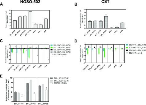 Rt Qpcr Comparative Analysis Of Ecl01758 Ecl01760 Ecl01761