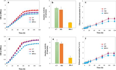 Growth Pattern Amylolytic Activity And Ethanol Production Ability