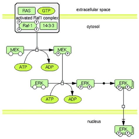 An Electron Transfer Pathway Diagram Download Scientific Diagram