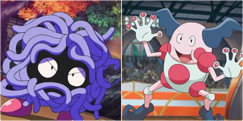 What Level Does Wingull Evolve Other Facts Trivia You Didn T