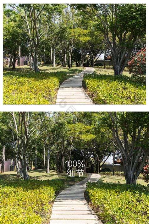 小路图片 小路素材免费下载 包图网