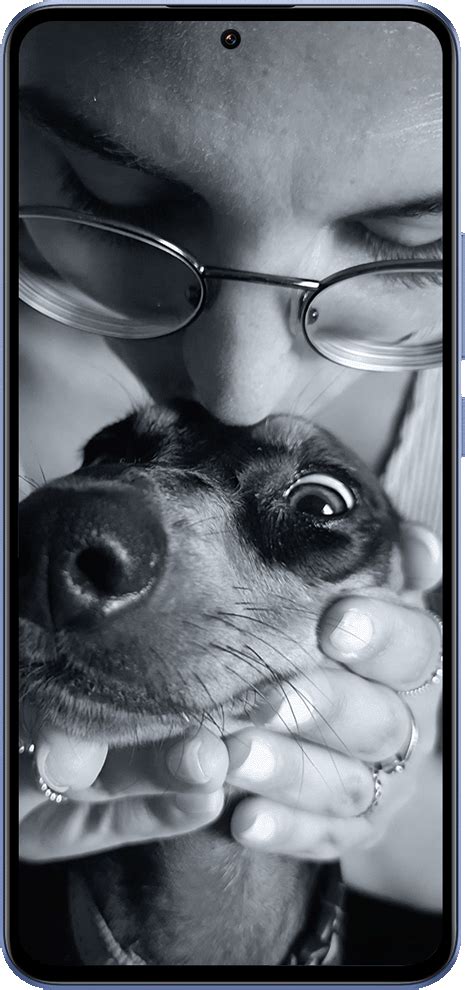 Xiaomi T Pro Xiaomi Italia