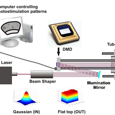 Principal Of Digital Micromirror Device Dmd Function And Integration