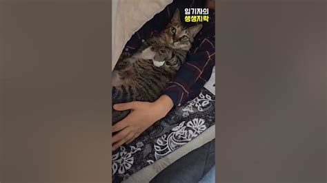 이불을 함부로 들추면 안되는 이유 Youtube