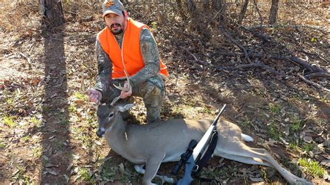 Deer Study Amberdover