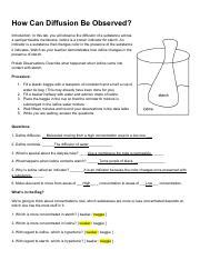 Copy Of BIOL Diffusion Lab Pdf How Can Diffusion Be Observed Introduction In This Lab
