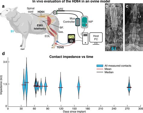 An Active Electronic High Density Epidural Paddle Array For Chronic Spinal Cord Neuromodulation