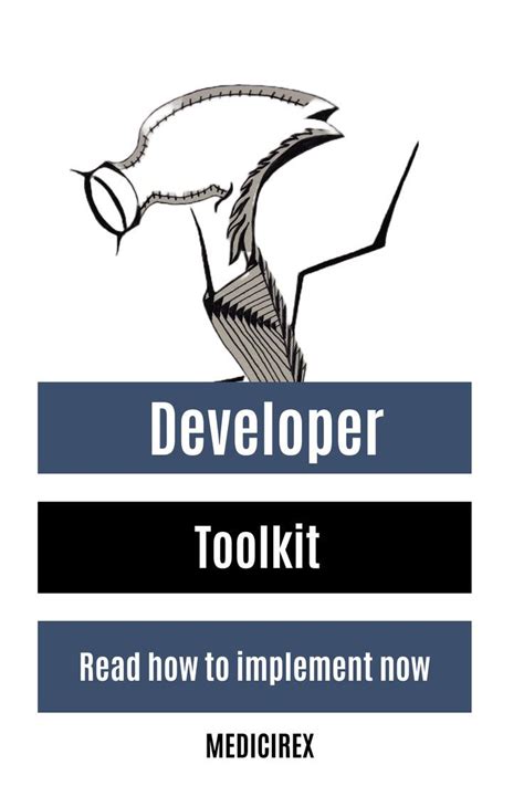 Developer Toolkit Read How To Implement Now Development What Is