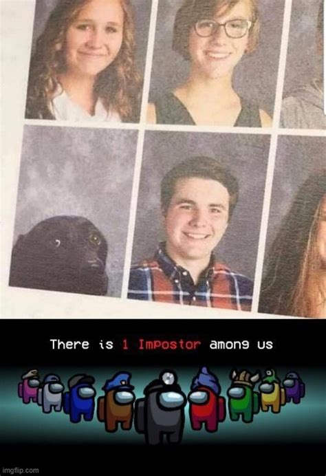 Amongus Memes And S Imgflip