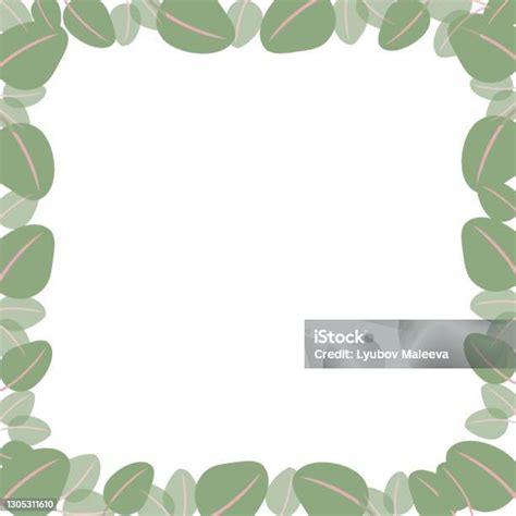 Стокова ілюстрація Векторна Рамка З Евкаліптовими Листочками Різних Розмірів І Кольору Тонів