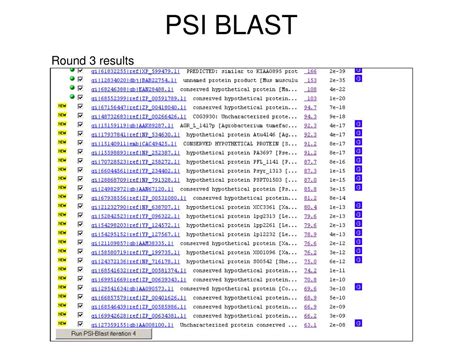 Ppt Identifying Novel Proteins Powerpoint Presentation Free Download
