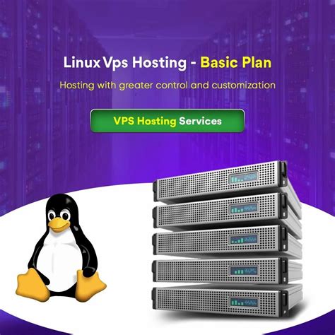 Linux Vps Hosting Basic Plan At ₹ 1999month In Erode Id 2852061600662