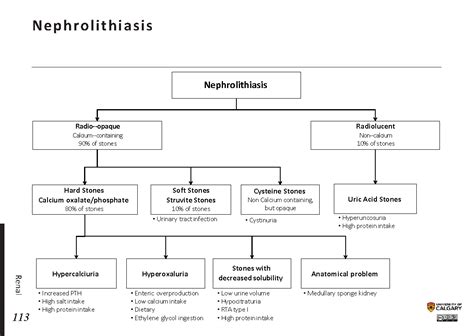 Nephrolithiasis Pathophysiology Diagram