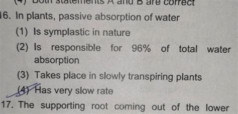 In Plants Passive Absorption Of Water Filo