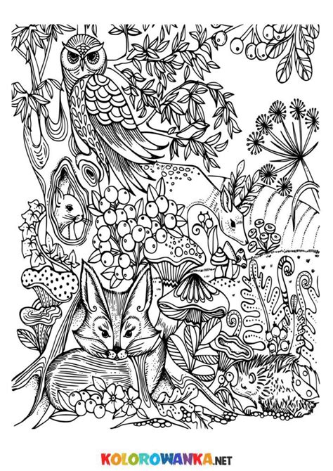 Kolorowanka dla dorosłych Kolorowanki do druku