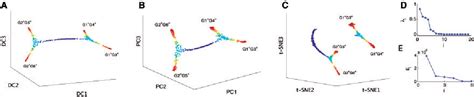 Figure 4 From Diffusion Maps For High Dimensional Single Cell Analysis Of Differentiation Data