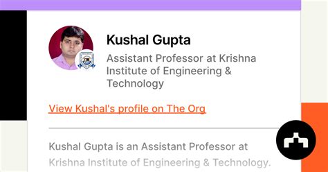 Kushal Gupta Assistant Professor At Krishna Institute Of Engineering
