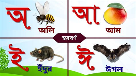 বাংলা স্বরবর্ণ শিক্ষা অআইঈ বাংলা বর্ণমালা শিক্ষা Bangla Sorborno By Sm Academy 24 Youtube