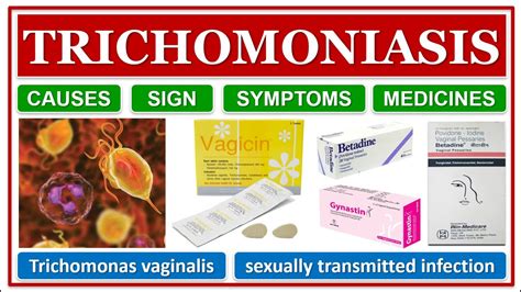 Trichomoniasis In Pregnancy Expedited Partner Therapy Ept For