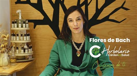 Flores De Bach 7 Beneficios Sorprendentes Para Tu Bienestar