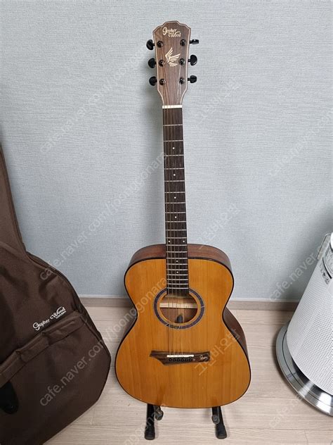 고퍼우드 I 210 탑솔리드기타 건반악기 중고나라