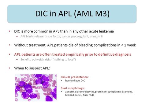 Acute Leukemia Noon Conference April 13 Ppt Download