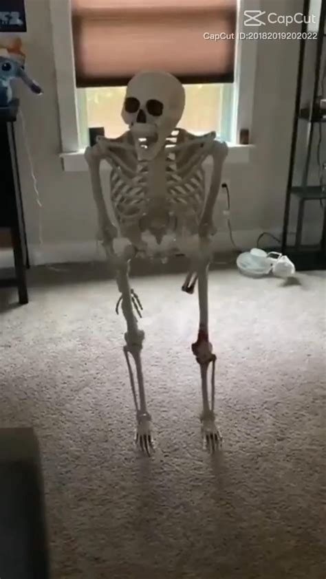 Memes That Let My Skeleton Out Artofit