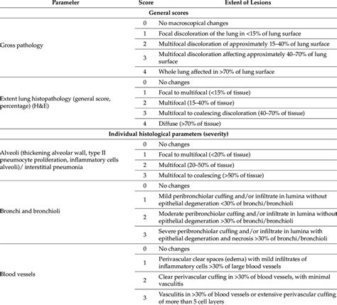 Scoring System Used To Grade Lesions In Hande Stained Lung Tissue Download Scientific Diagram