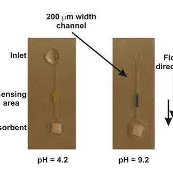 A Schematic Representation Of The Microchip Fabrication B Picture