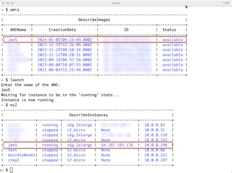 Launch Ec2 Instance From An Ami With A Bash And Powershell Script 4sysops