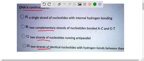 Solved Dna Is Constructed Of A A Single Strand Of Nucleotides With Internal Hydrogen Bonding