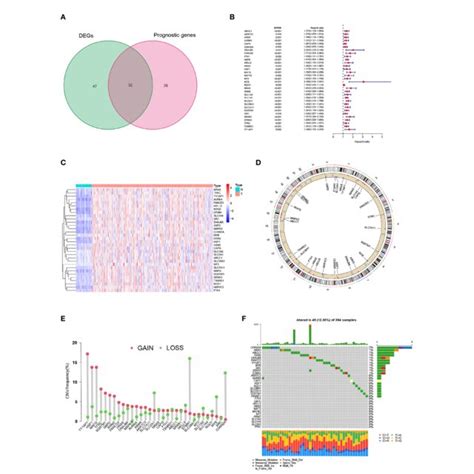 Immunohistochemical Ihc Analysis Of Clinical Validation Cohort A