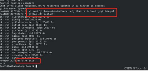 Docker 搭建 Gitlab 服务器 完整详细版docker Gitlab Csdn博客