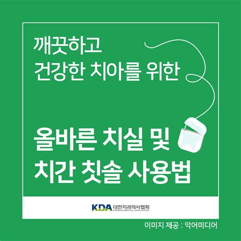 대한치과의사협회 깨끗하고 건강한 치아를 위한 올바른 치실 및 치간칫솔 사용법 🦷 카드뉴스에서 확인해보세요