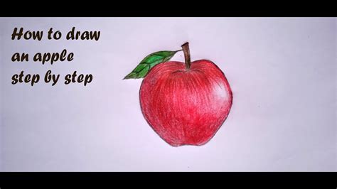 How To Draw An Apple Easy Art Tutorial For Beginners Youtube