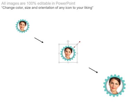 Four Business Profiles For Various Analysis Powerpoint Slides