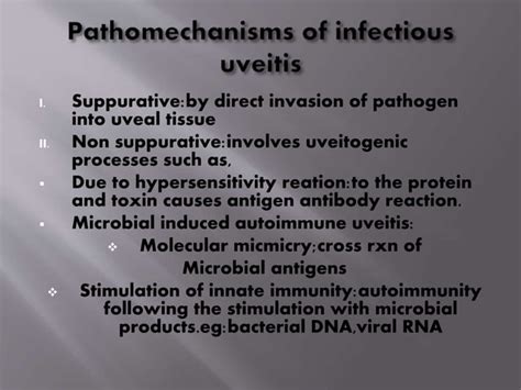 Infectious Uveitis Pptx Eye And Vision Conditions Diseases And