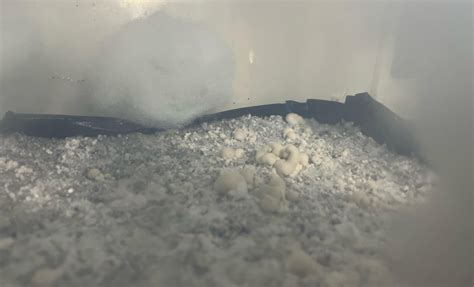 Pe Blobs R Shroomery