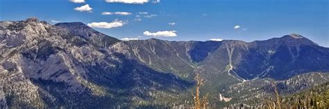 Mt Charleston Wilderness Lee Canyon Las Vegas Area Trails