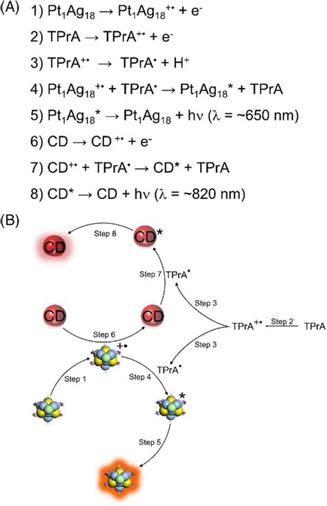 Bright Dual‐color Electrochemiluminescence Of A Structurally Determined