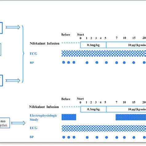 Protocol Design AF Indicates Atrial Fibrillation AP Accessory Download Scientific Diagram