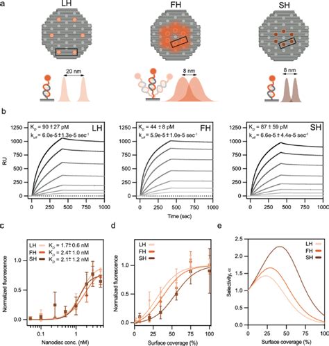 Super Selective Binding With Hexagonal Rigid And Flexible Patterns A Download Scientific