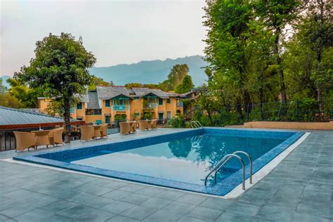 Gallery Tree Of Life