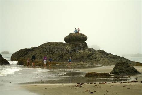 Harris Beach State Park Oregon Imagen De Archivo Editorial Imagen De