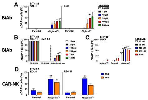 Optimizing Siglec 8 Directed Immunotherapy For Eosinophilic And Mast Cell Disorders