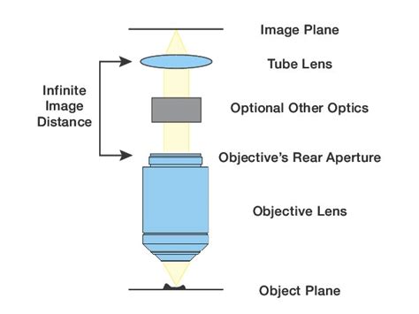 Long Working Distance Microscope Objectives Lenses